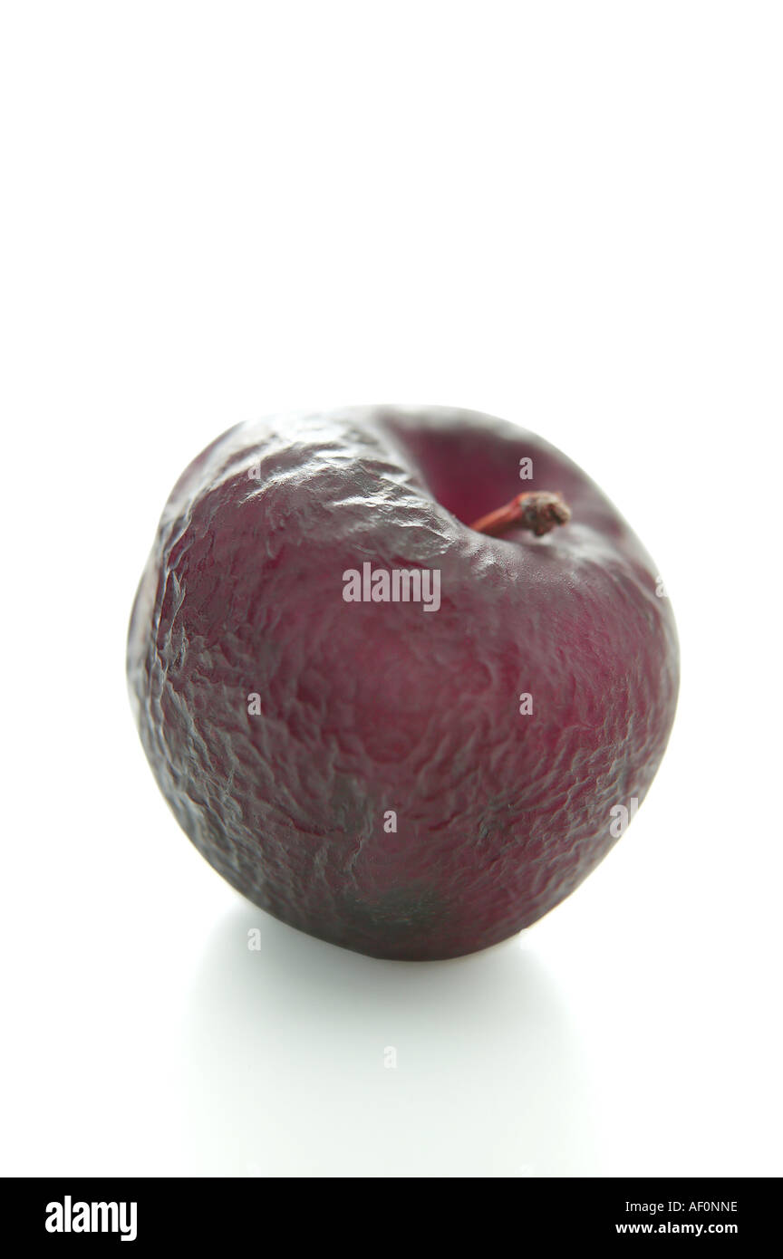 Shrivelled red plum with a soft white background Stock Photo - Alamy