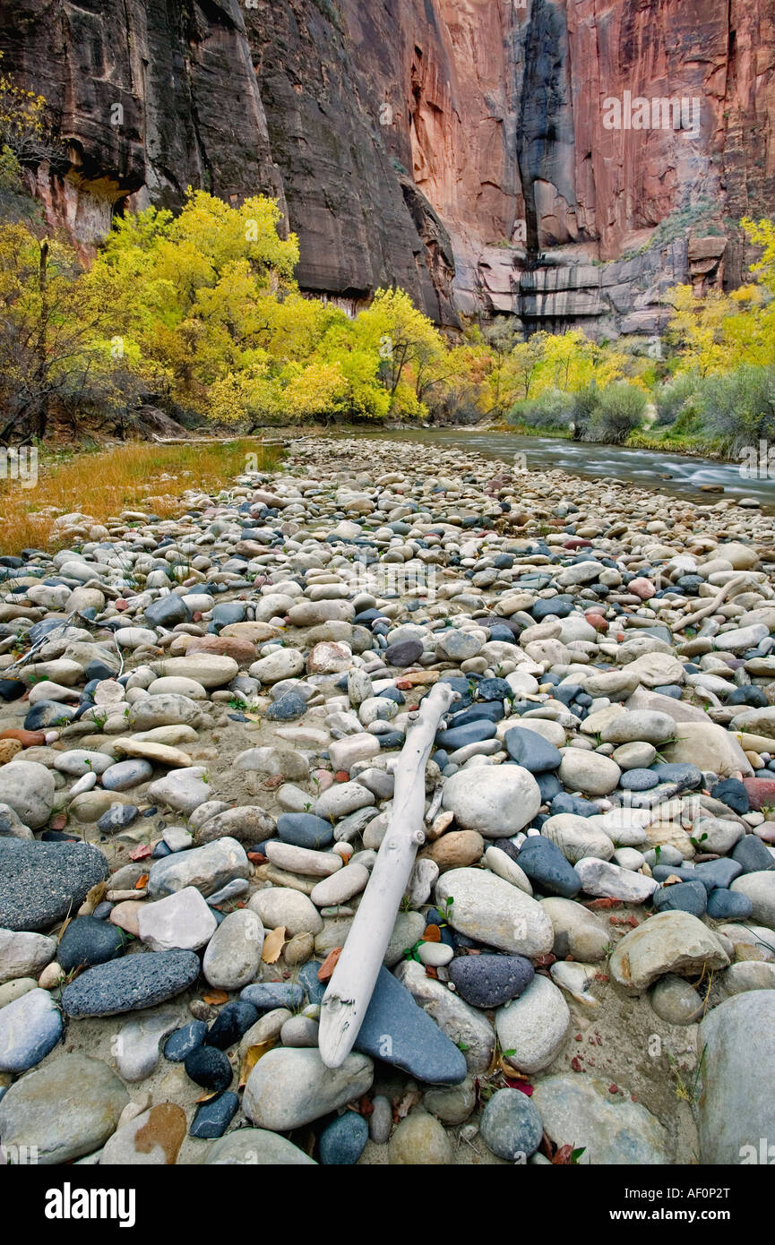 Autumn stream Zion national park Stock Photo - Alamy