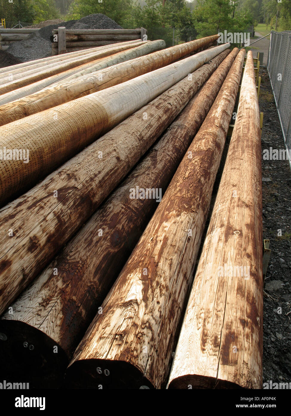 Telephone pole storage Stock Photo - Alamy