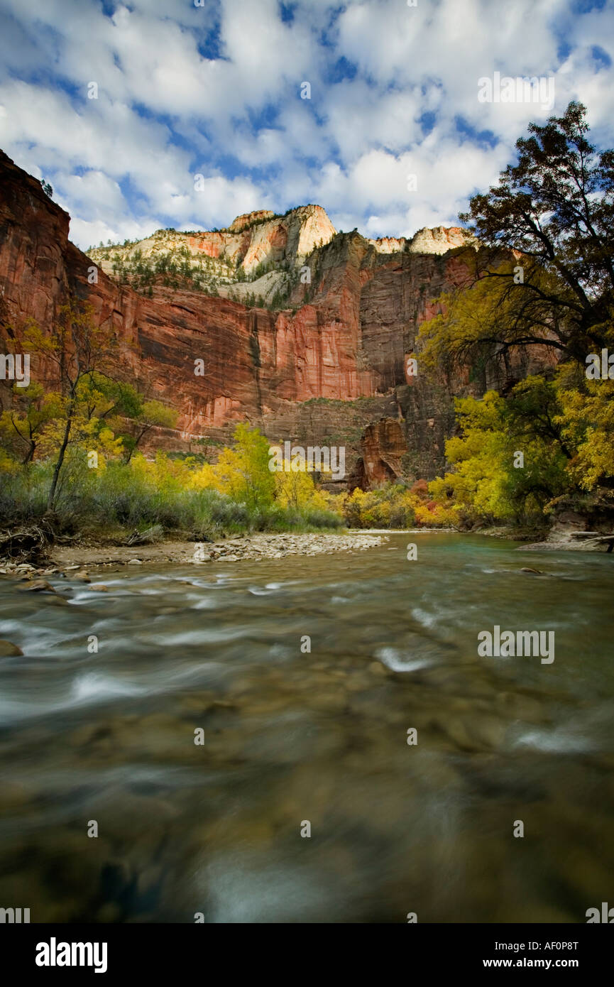 Autumn stream Zion national park Stock Photo - Alamy