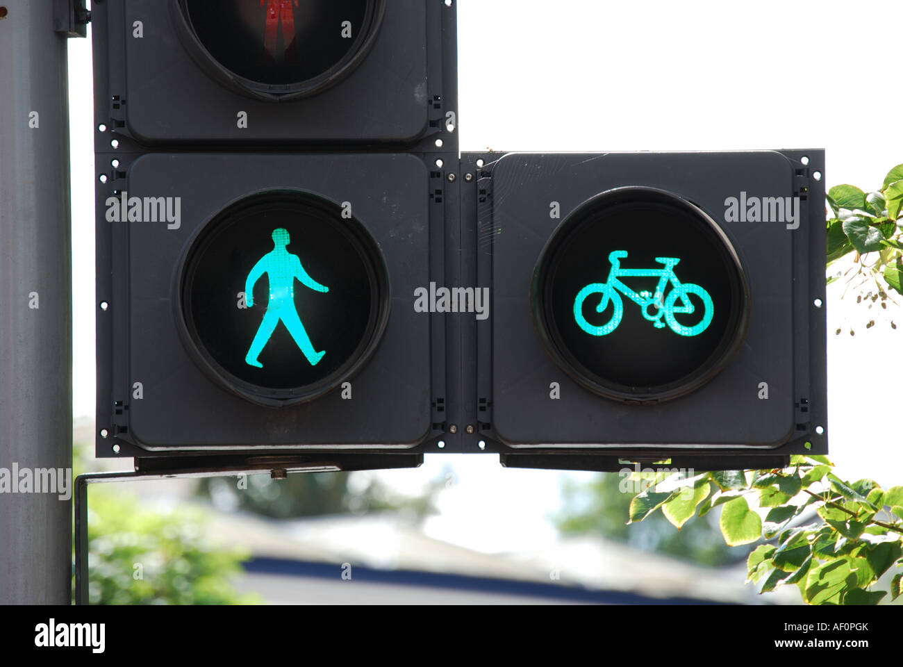 Pedestrian and cyclist traffic lights at crossing, Maidenhead ...