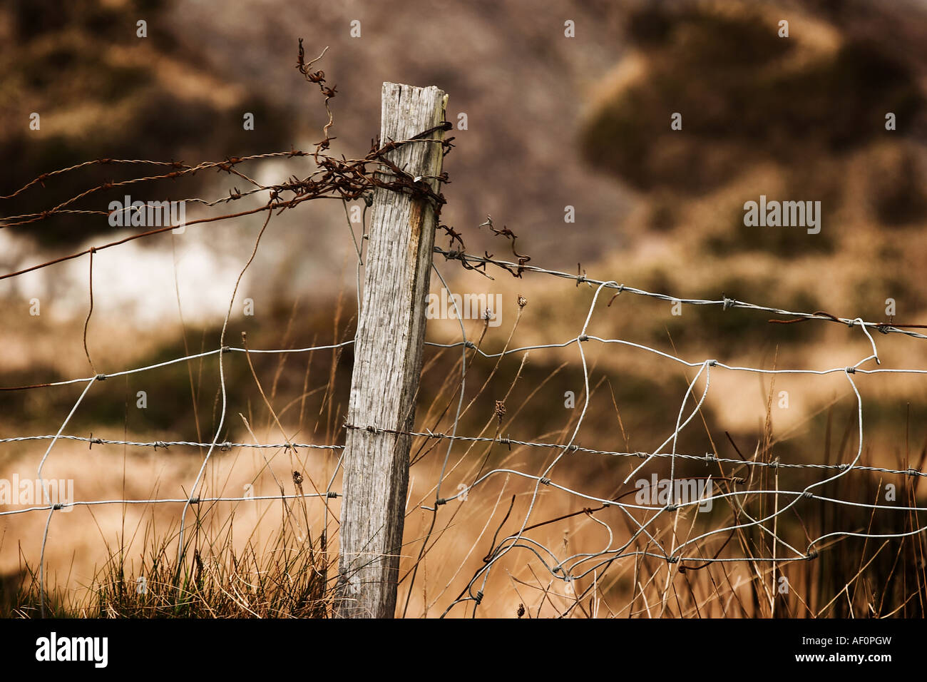 Farmers Gate with Wire Ring of Kerry, County Kerry, Ireland Stock Photo ...