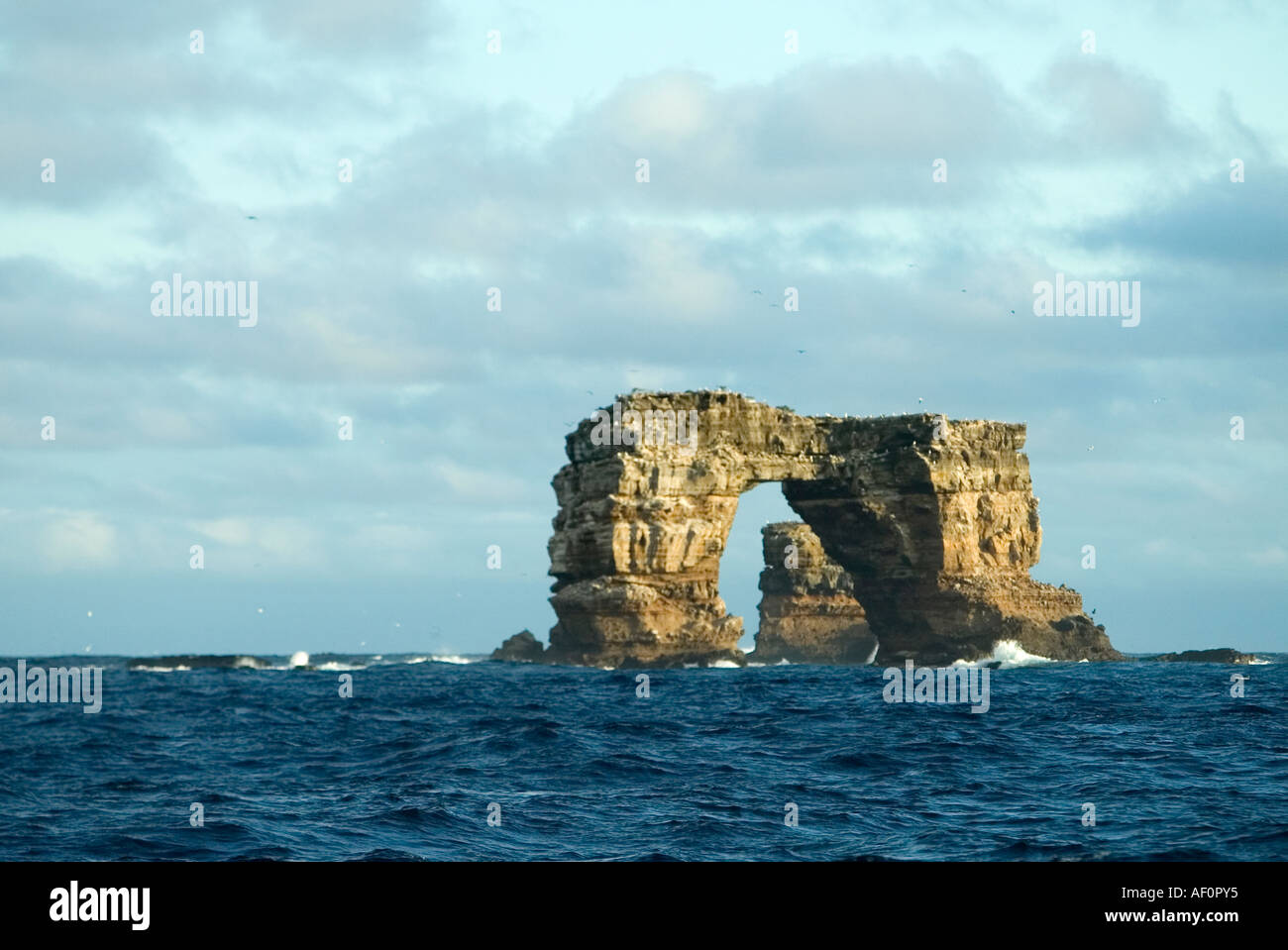 Darwin island arch hi-res stock photography and images - Alamy