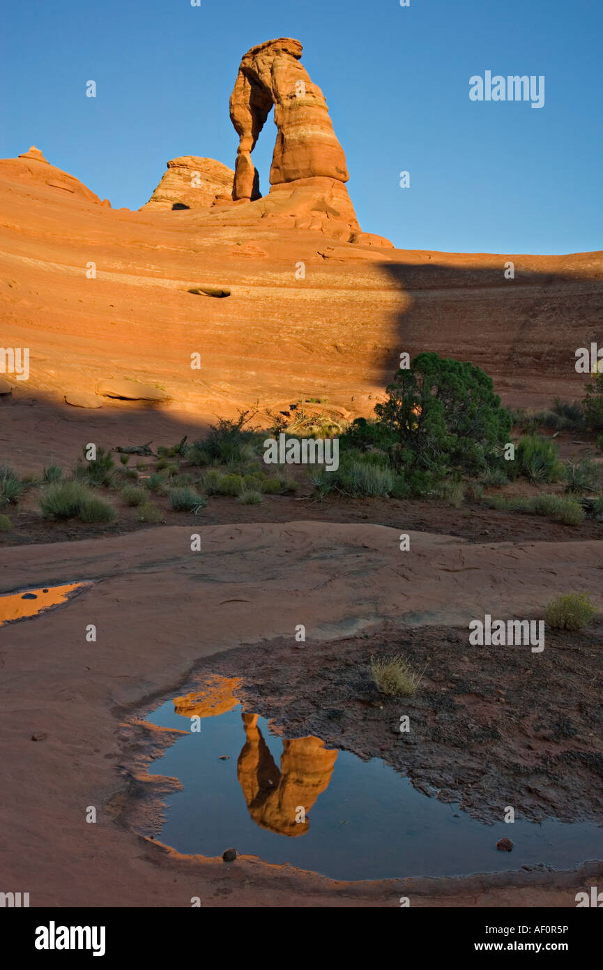 Delicate Arch reflection Stock Photo - Alamy