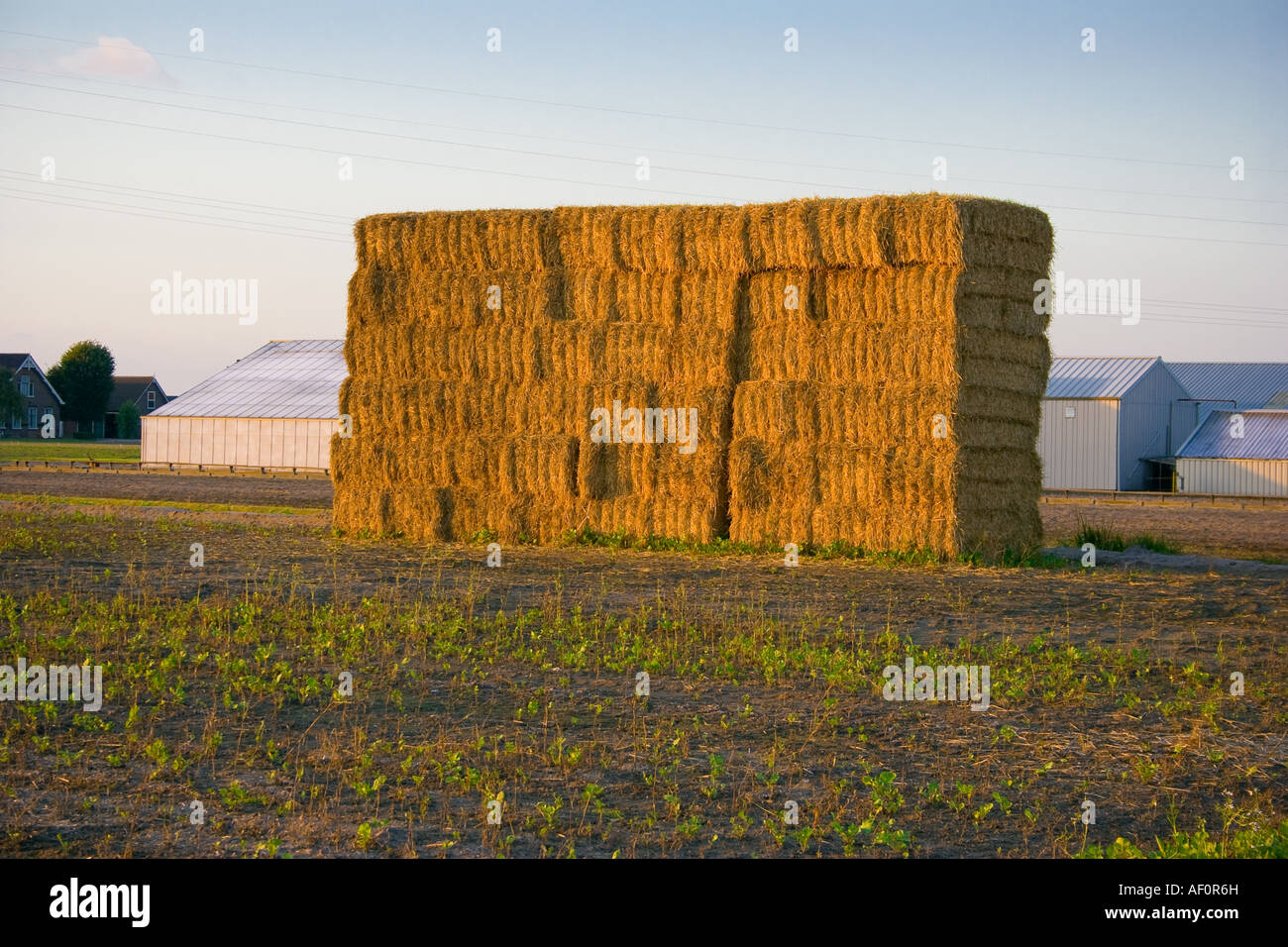 Stacks of Hay on Farmland, Netherlands Stock Photo - Alamy
