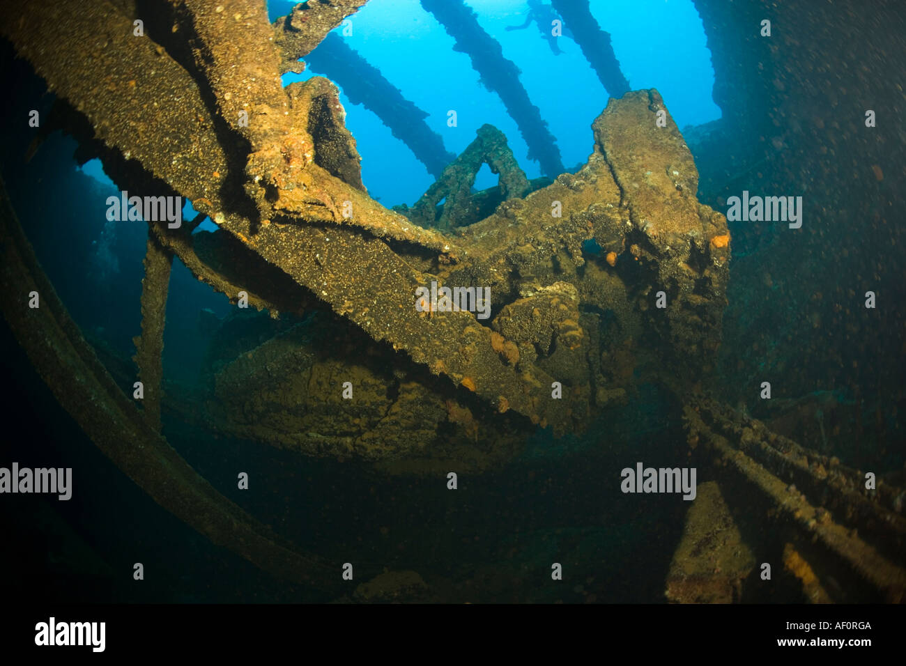 Hoki hi-res stock photography and images - Alamy