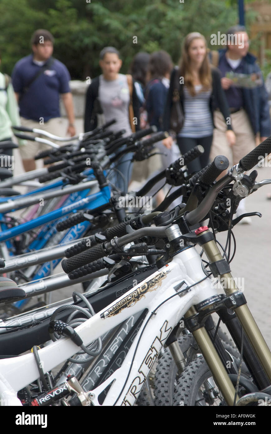 Canadian cycling culture hi-res stock photography and images - Alamy