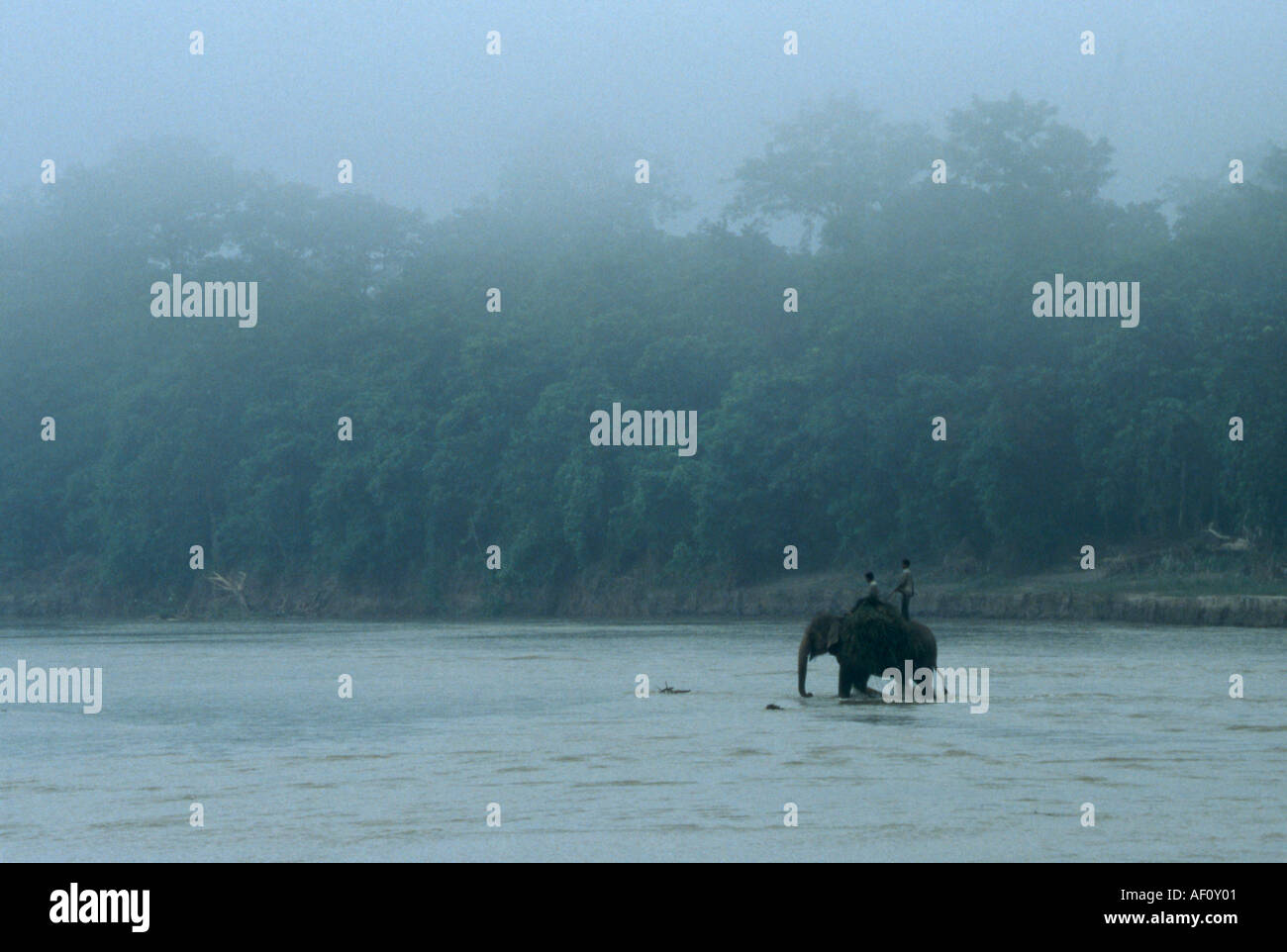 India shallow river hi-res stock photography and images - Alamy