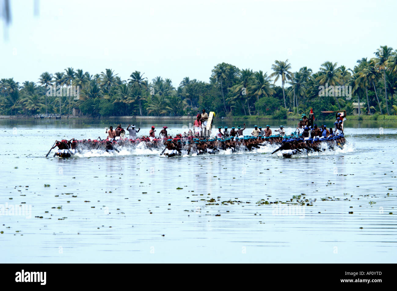 SNAKE BOATS OF KERALA Stock Photo - Alamy