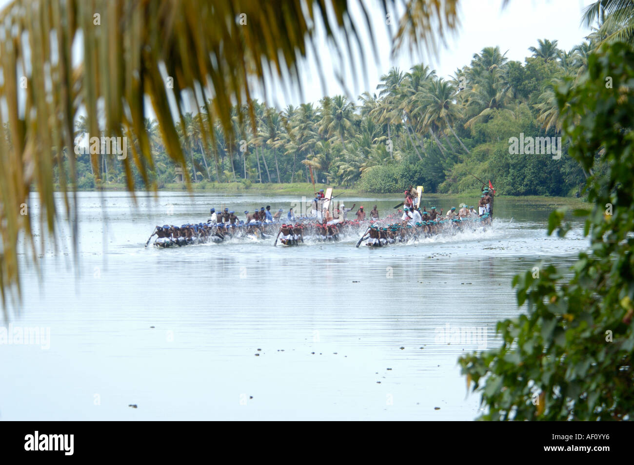SNAKE BOATS OF KERALA Stock Photo - Alamy