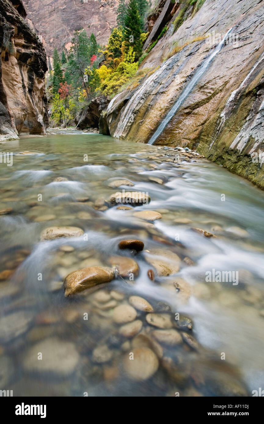 Autumn stream Zion national park Stock Photo - Alamy