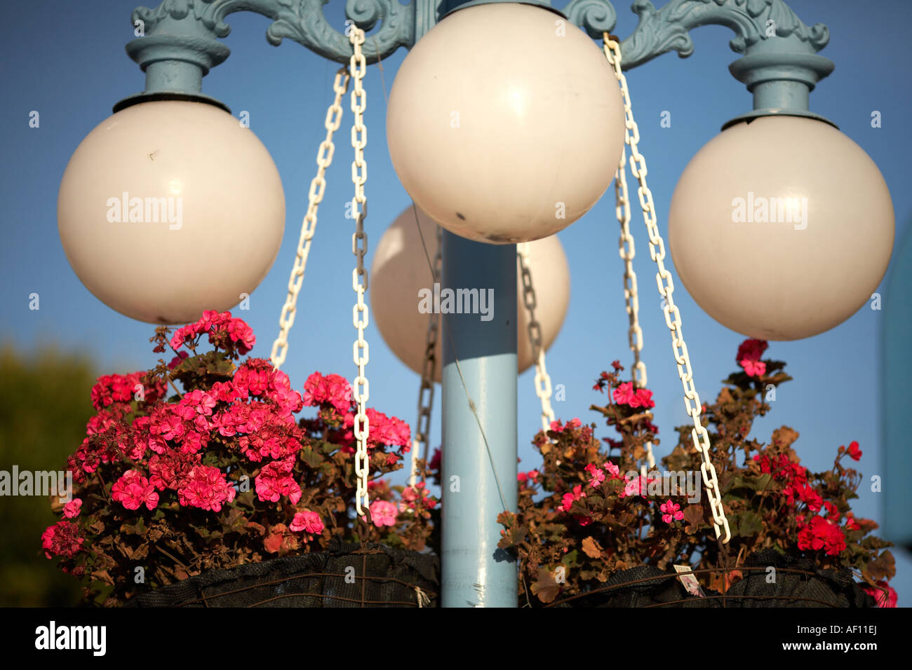 Lamp Post with Flowers in Fishermans Village Marina del Rey California ...