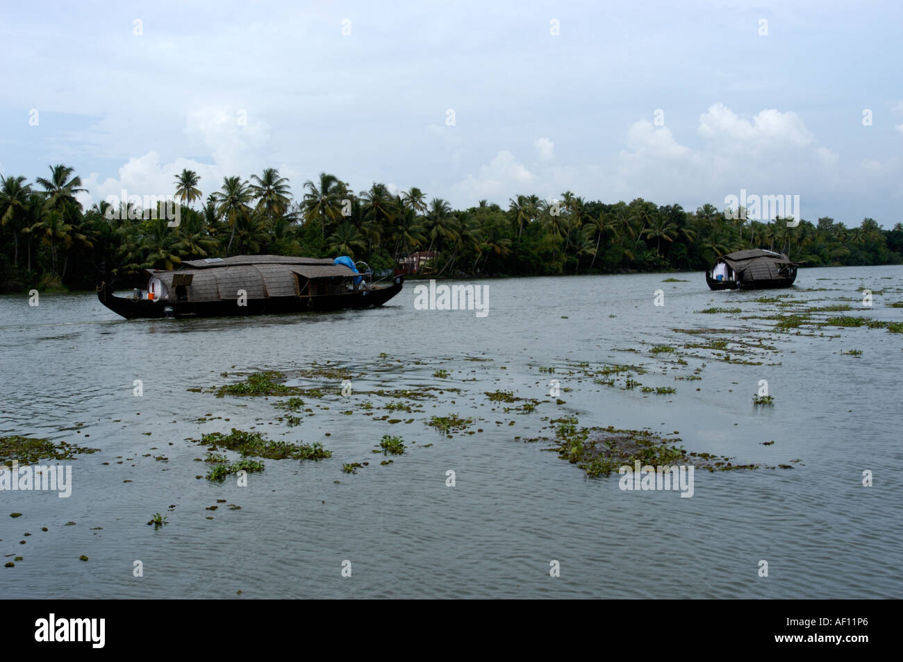 HOUSE BOATS IN ALAPPUZHA Stock Photo - Alamy