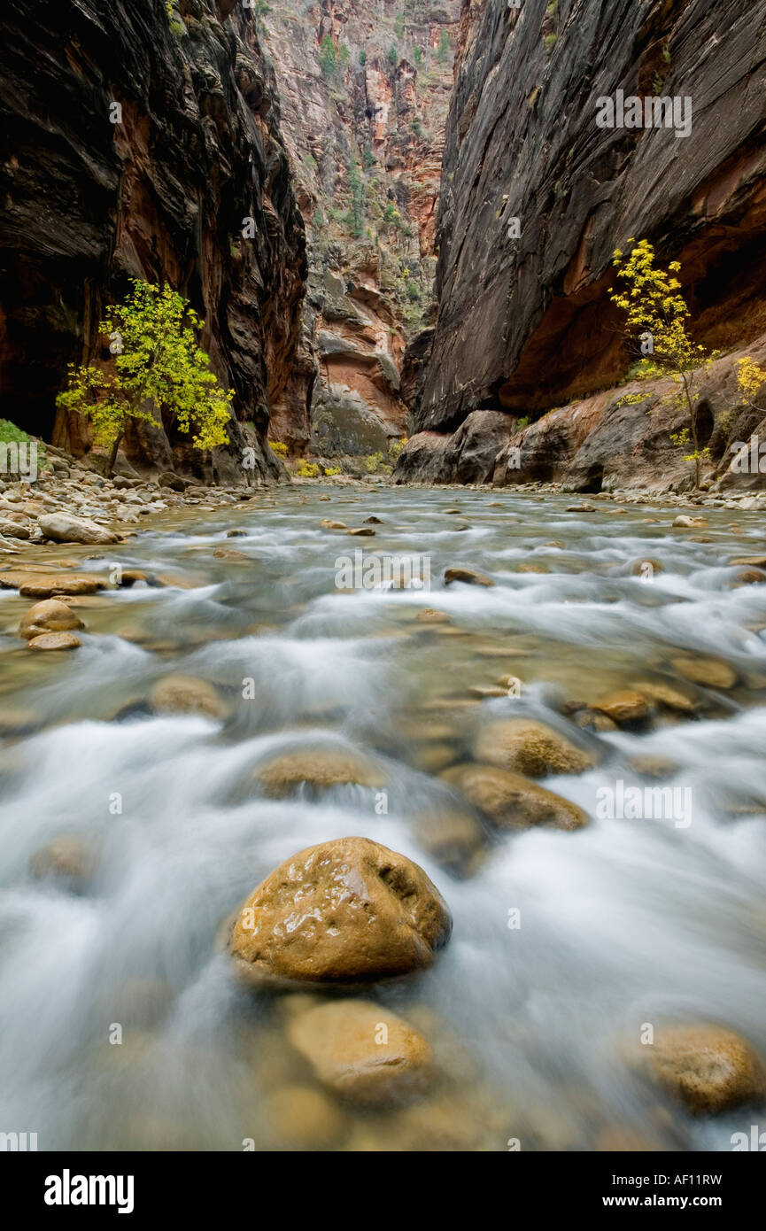 Narrows Zion national park Stock Photo - Alamy