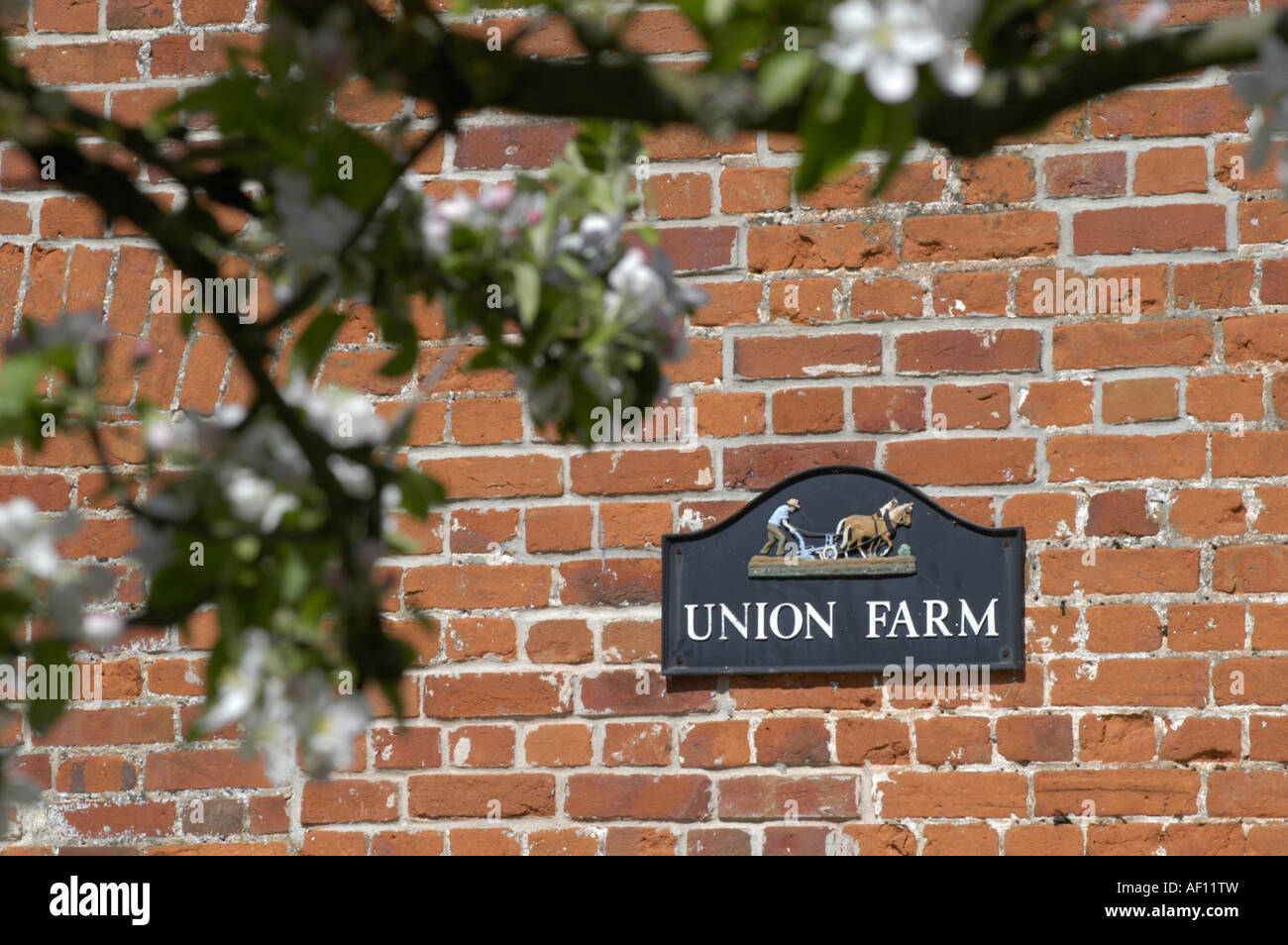 Union farm Gressenhall Rural Life Museum Norfolk UK Stock Photo - Alamy