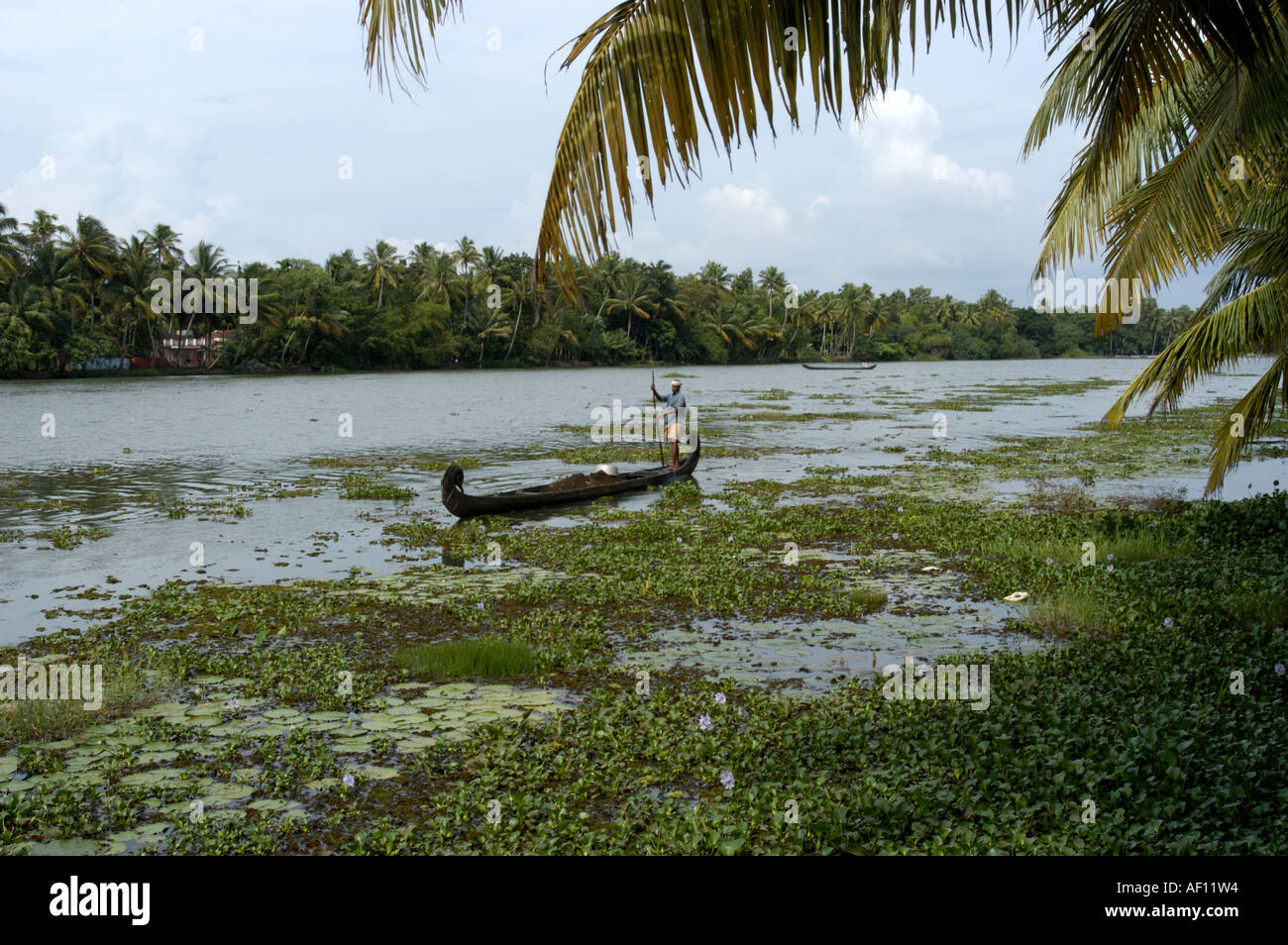 COUNTRY BOAT OF KUTTANAD, ALAPPUZHA Stock Photo - Alamy