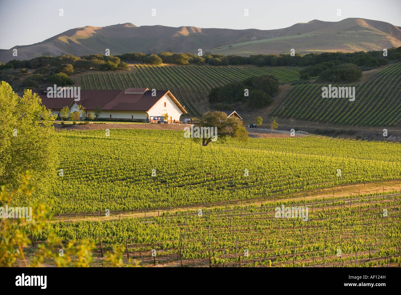 Foley winery hi-res stock photography and images - Alamy