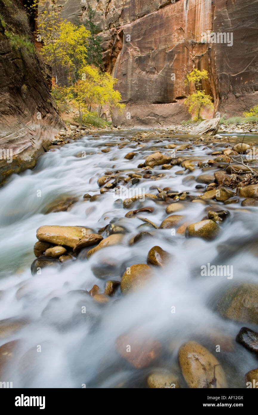 Autumn stream Zion national park Stock Photo - Alamy