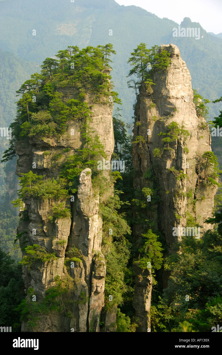 Limestone Rock formation out crop at first chinese national park at ...