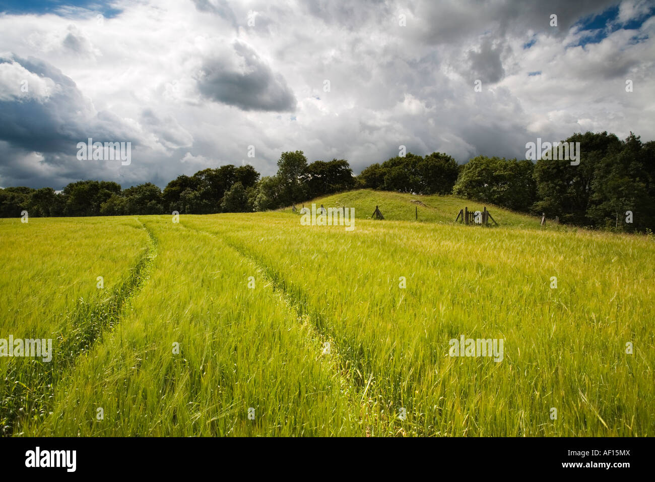 Peglers High Resolution Stock Photography and Images - Alamy