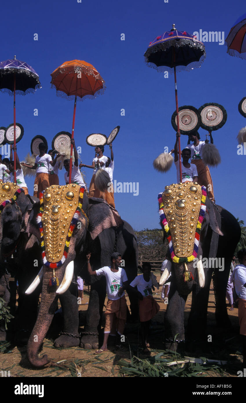 South India Kerala Trichur Elephant Festival Stock Photo - Alamy