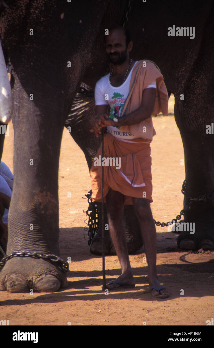 South India Kerala Trichur Elephant Festival Stock Photo - Alamy