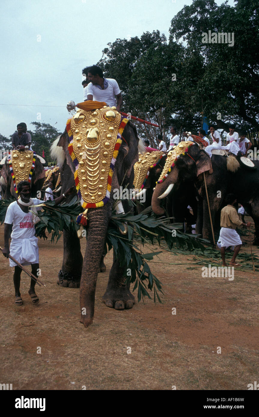 South India Kerala Trichur Elephant Festival Stock Photo - Alamy