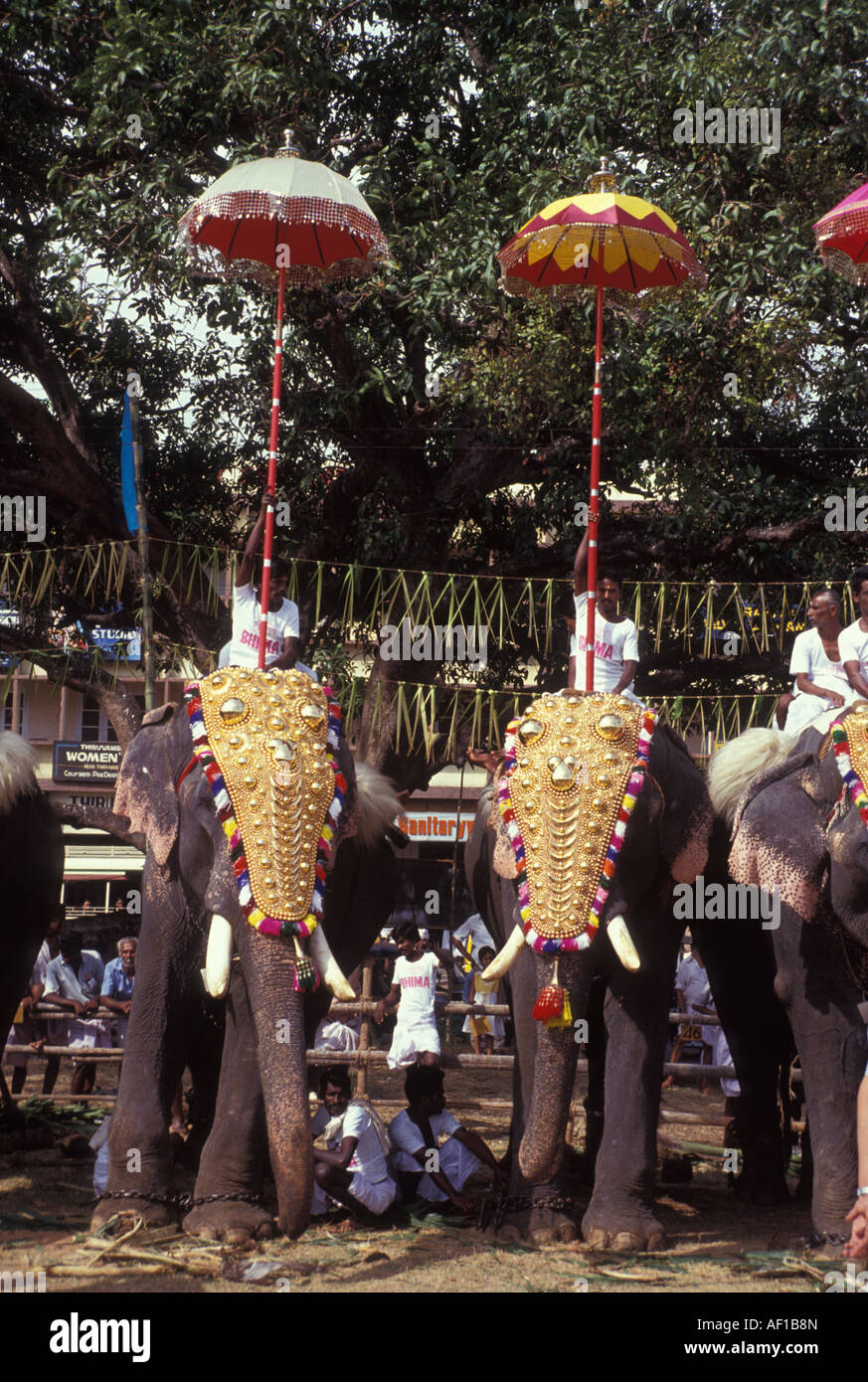 South India Kerala Local Caption Trichur Elephant Festival Stock Photo ...