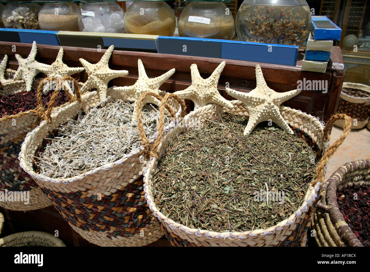 star fish at a local market in dahab red sea region sinai egypt Stock ...