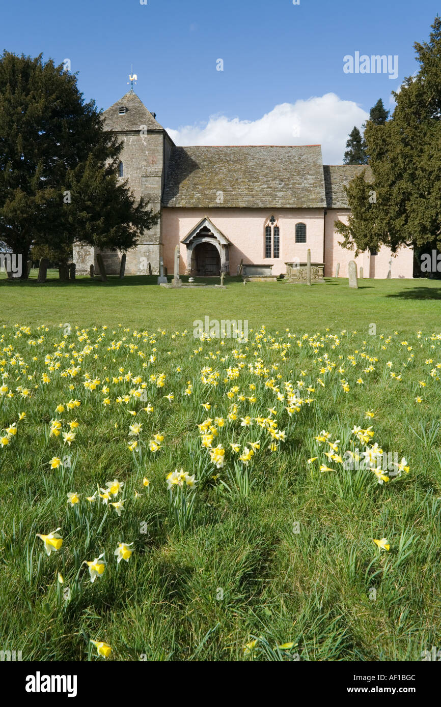 Springtime at St Marys church Kempley, Gloucestershire Stock Photo - Alamy