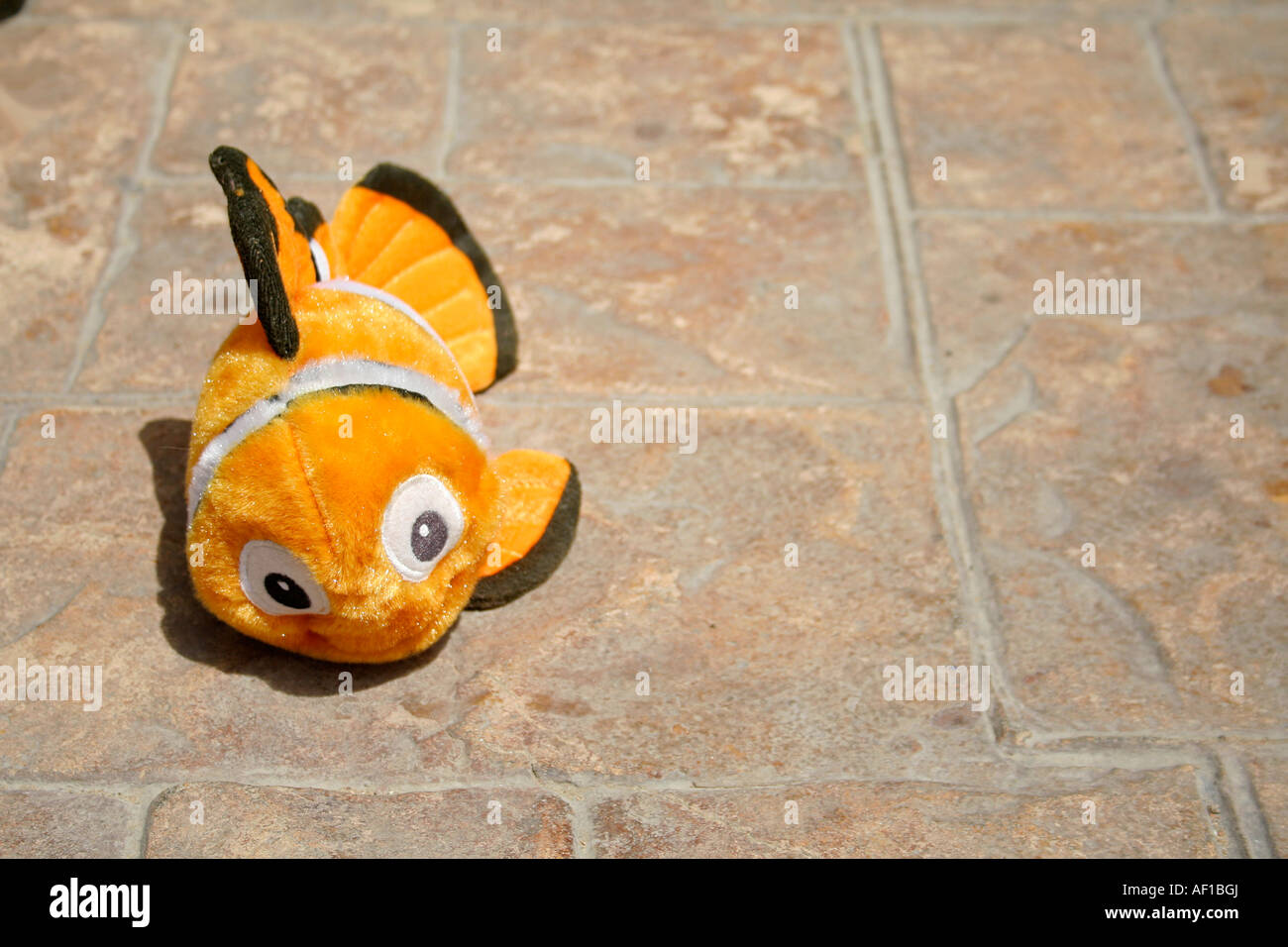 orange fluffy fish on paving floor Stock Photo - Alamy