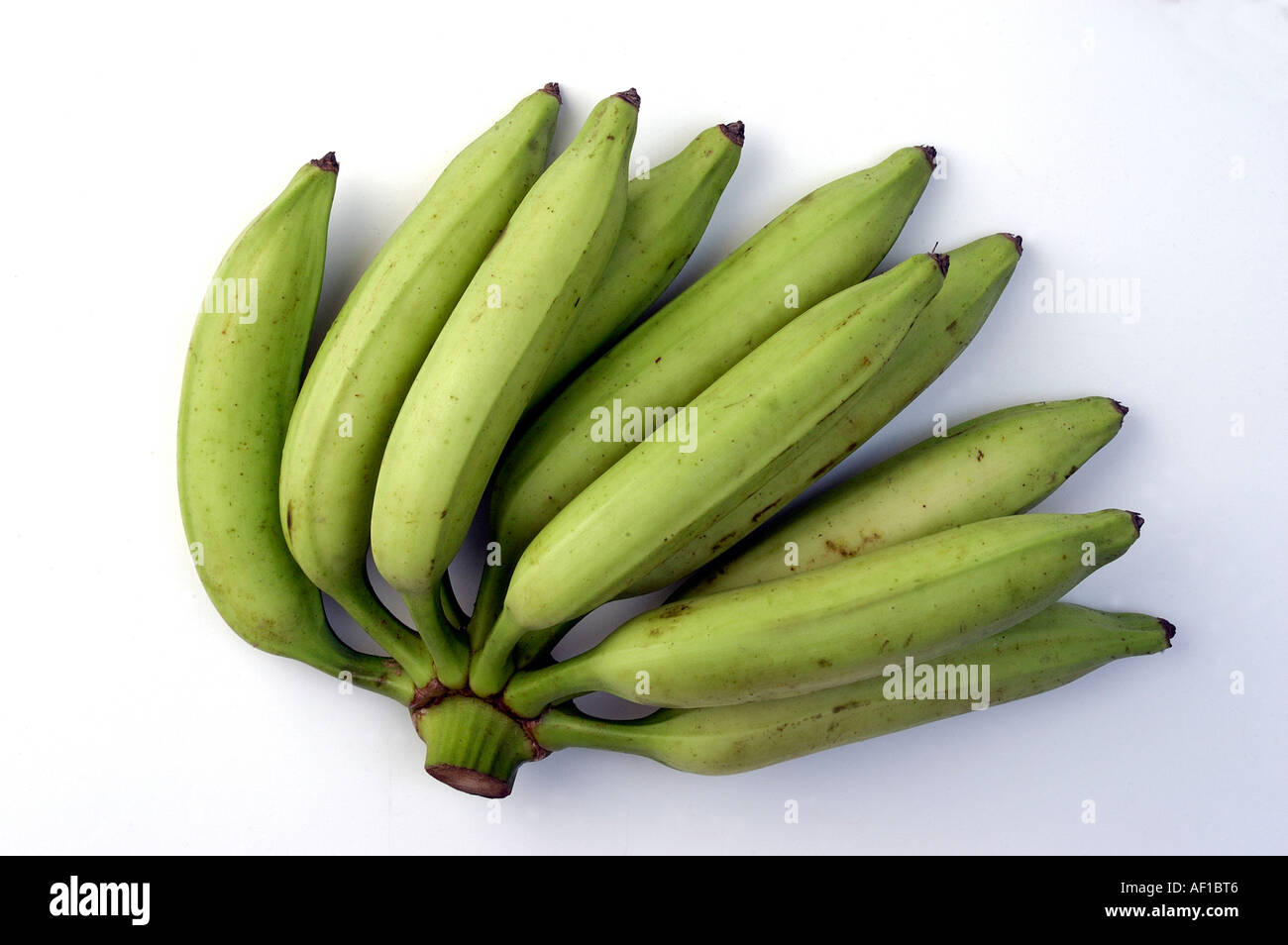 Green bunch plantain bananas hi-res stock photography and images - Alamy