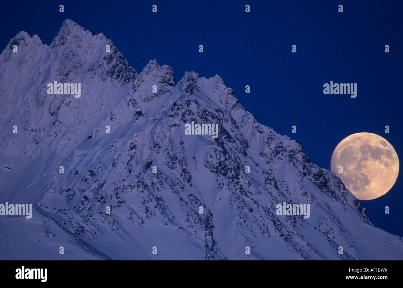 USA Alaska Chugach National Forest Full moon rises over snow covered ...