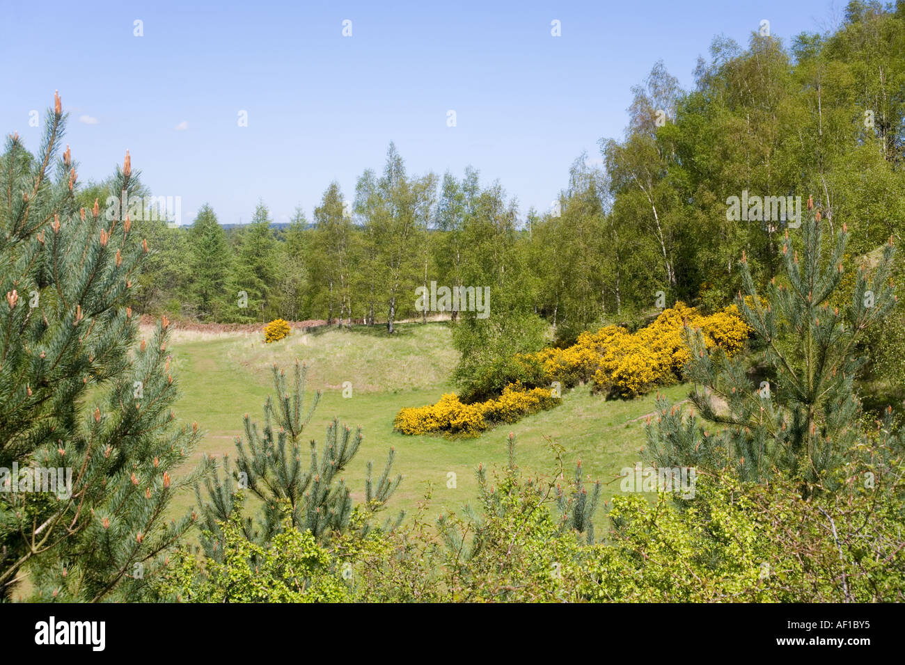 New Fancy View Picnic Site near Parkend in the Forest of Dean ...