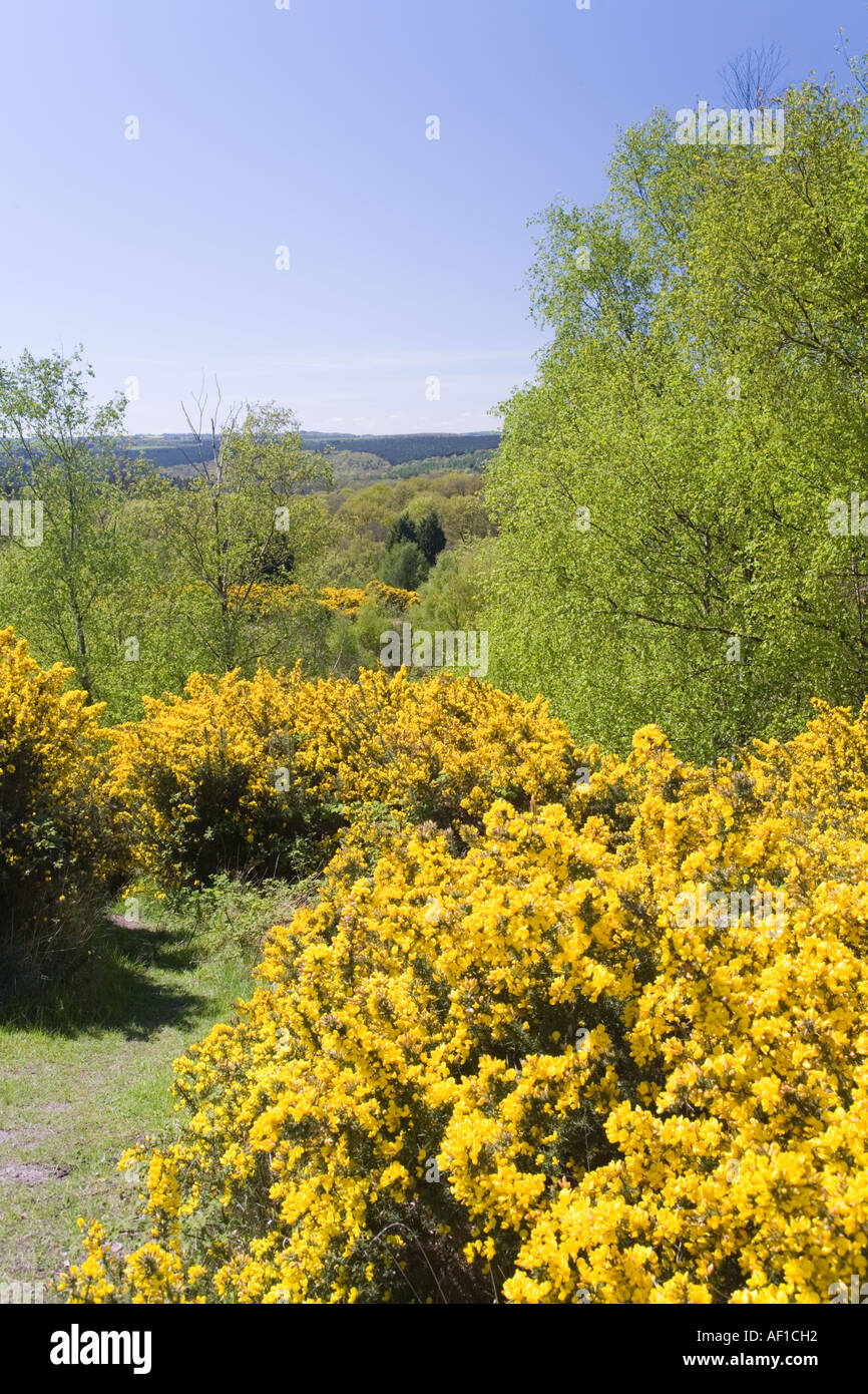 New fancy viewpoint hi-res stock photography and images - Alamy