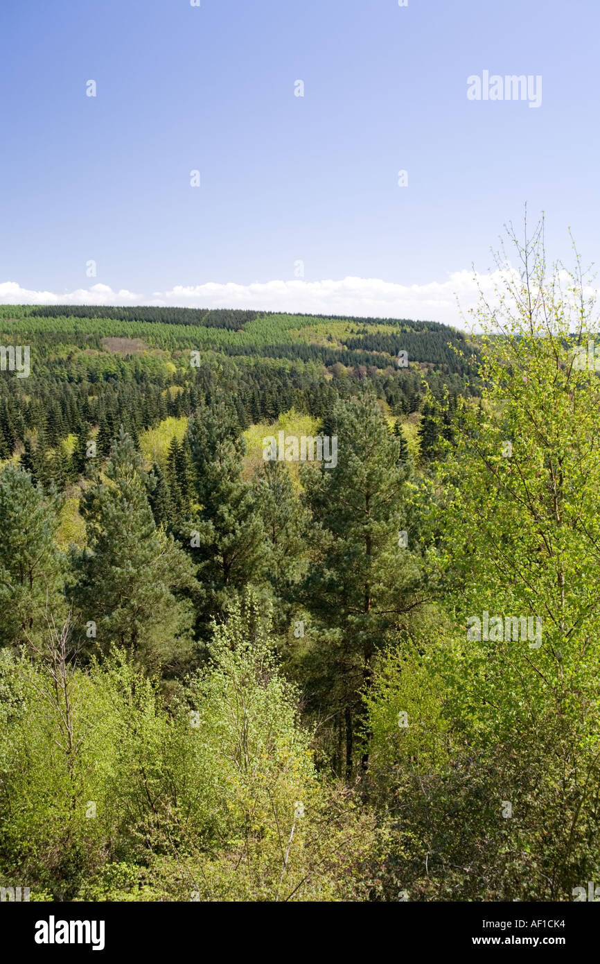 New fancy viewpoint gloucestershire hi-res stock photography and images ...