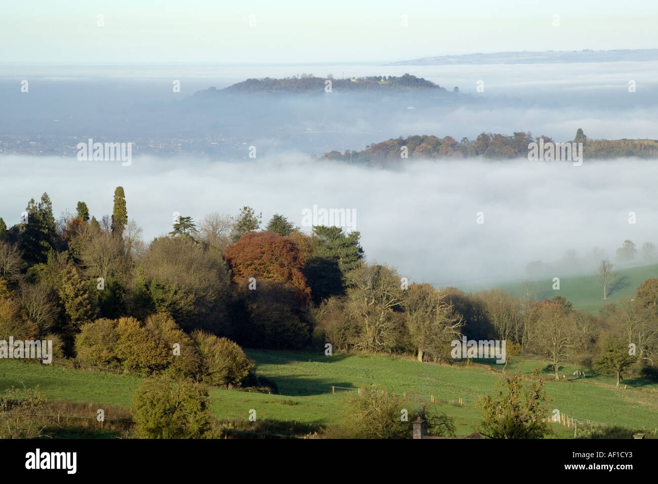 Prinknash cotswolds hi-res stock photography and images - Alamy