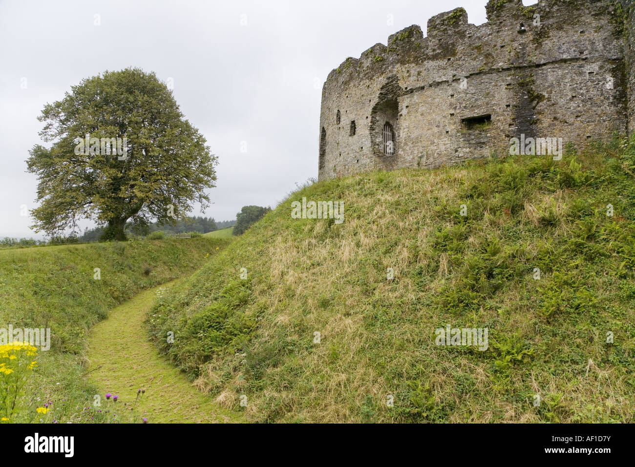 Restormel Castle, Cornwall Stock Photo - Alamy