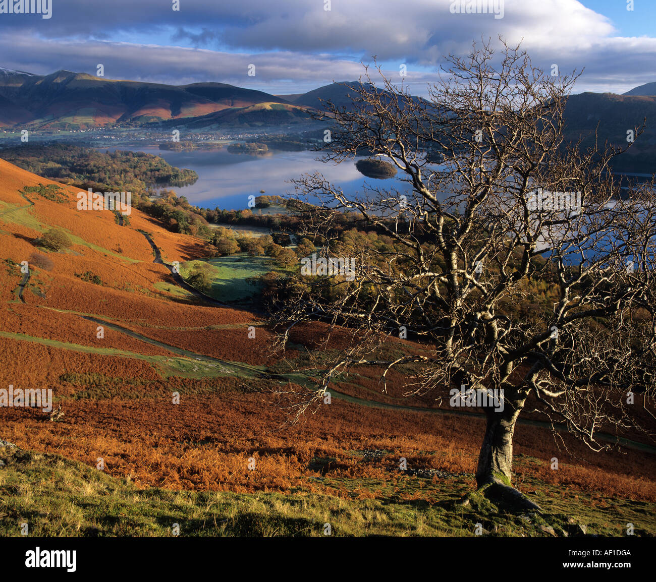 Derwent Water from Catbells, Lake District, Cumbria, England, UK Stock ...