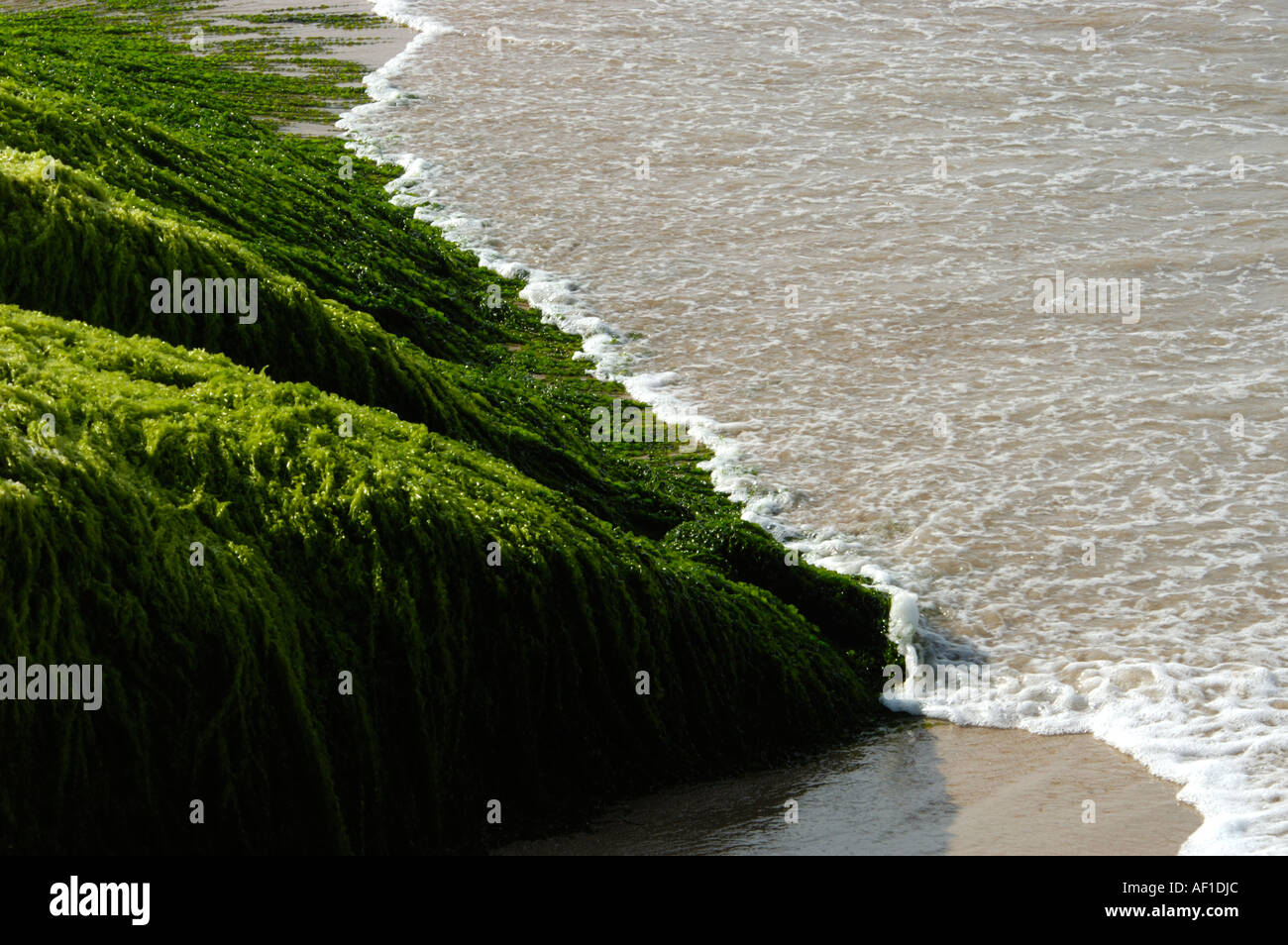 Chowara beach hi-res stock photography and images - Alamy