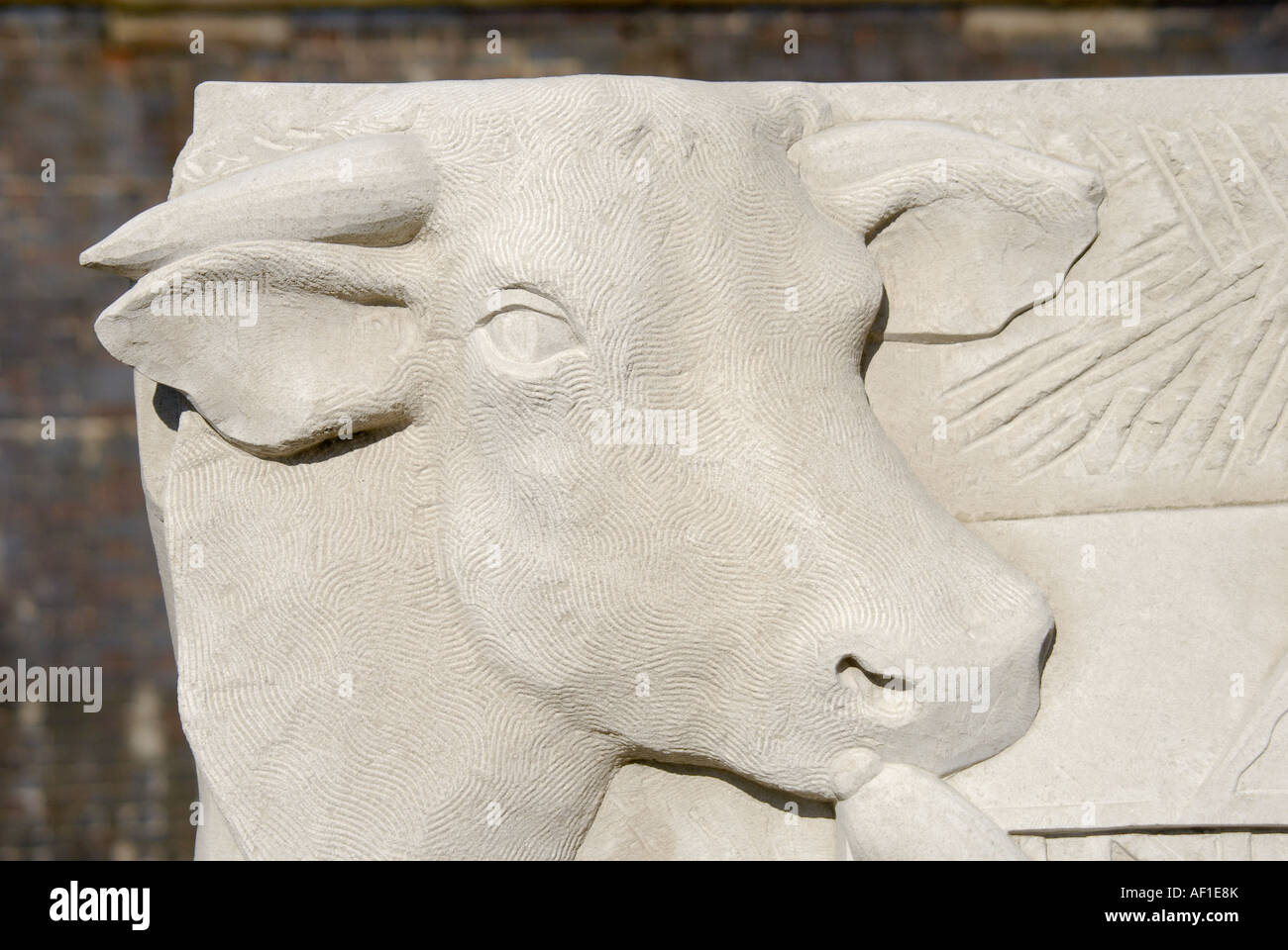 Cows head carved in stone Stock Photo - Alamy