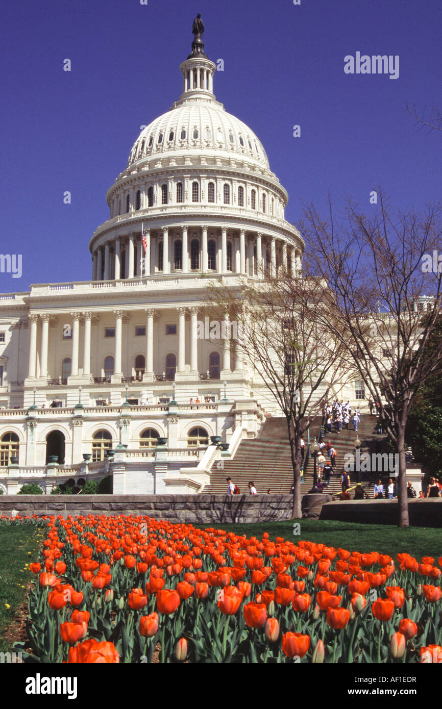 The Capitol Building, Capitol Hill, Washington, DC, USA Stock Photo - Alamy