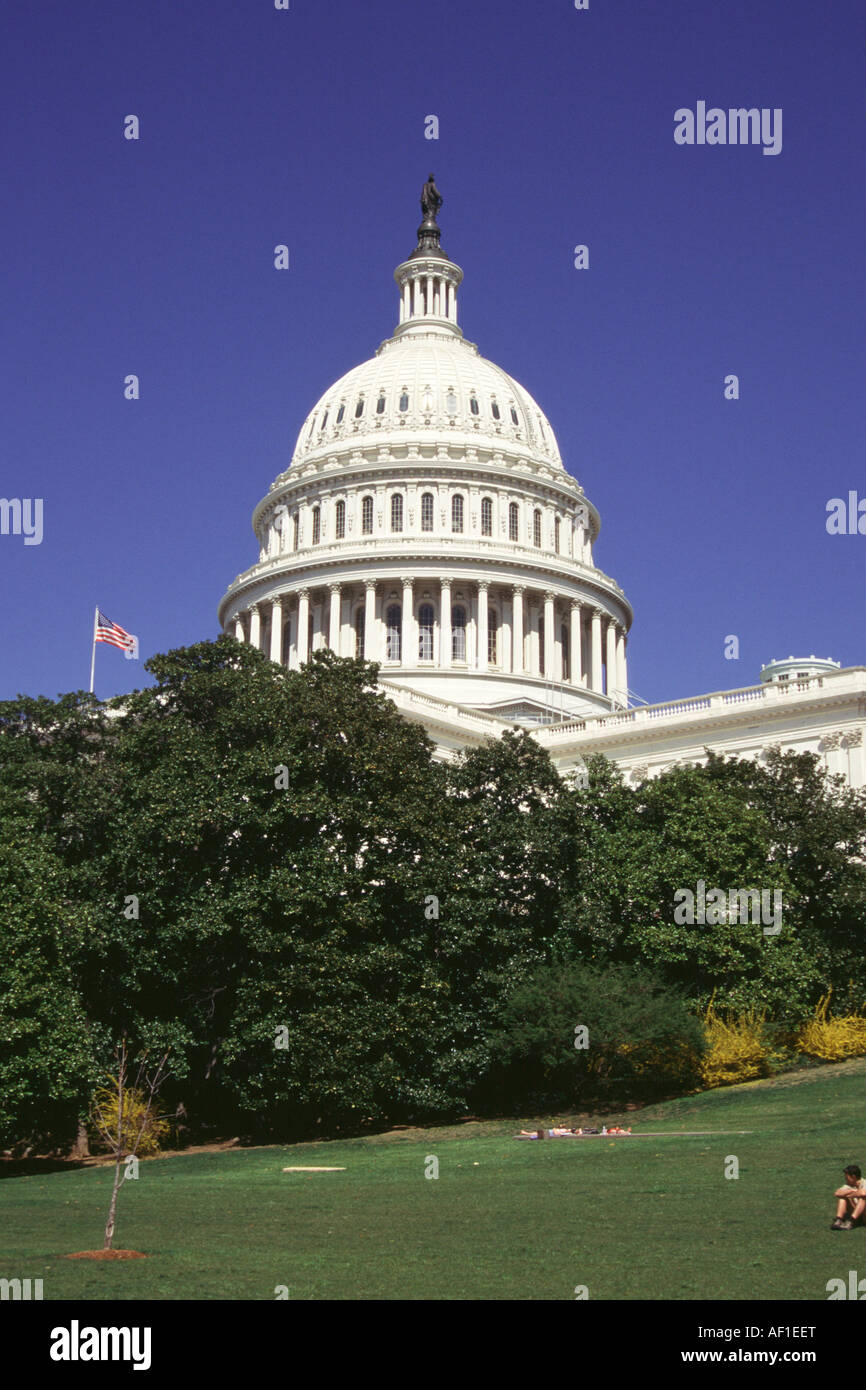 The Capitol Building, Capitol Hill, Washington, DC, USA Stock Photo - Alamy
