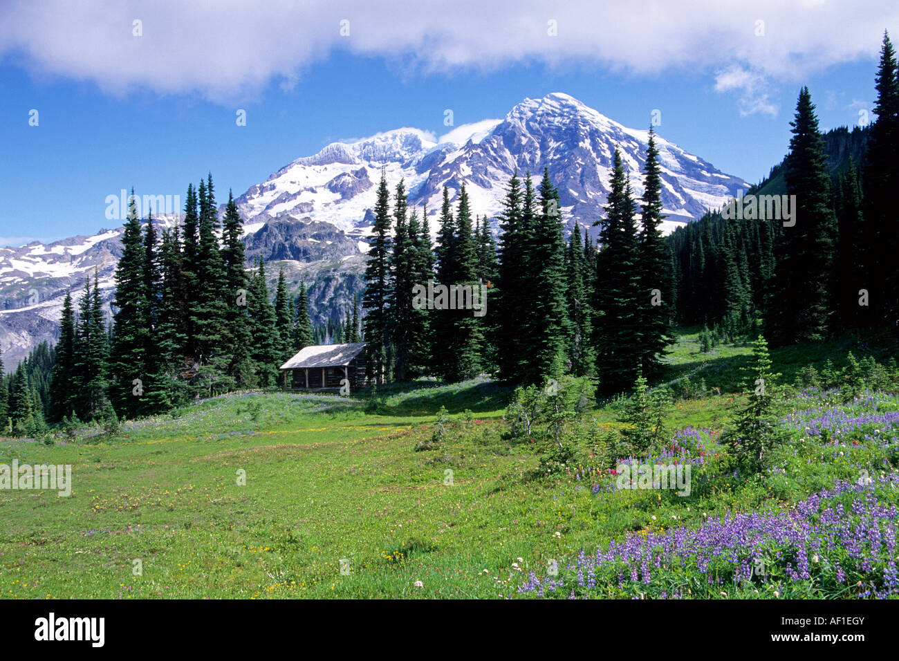 Shelter and Willis Wall from Indian Henry Hunting grounds, Mount ...