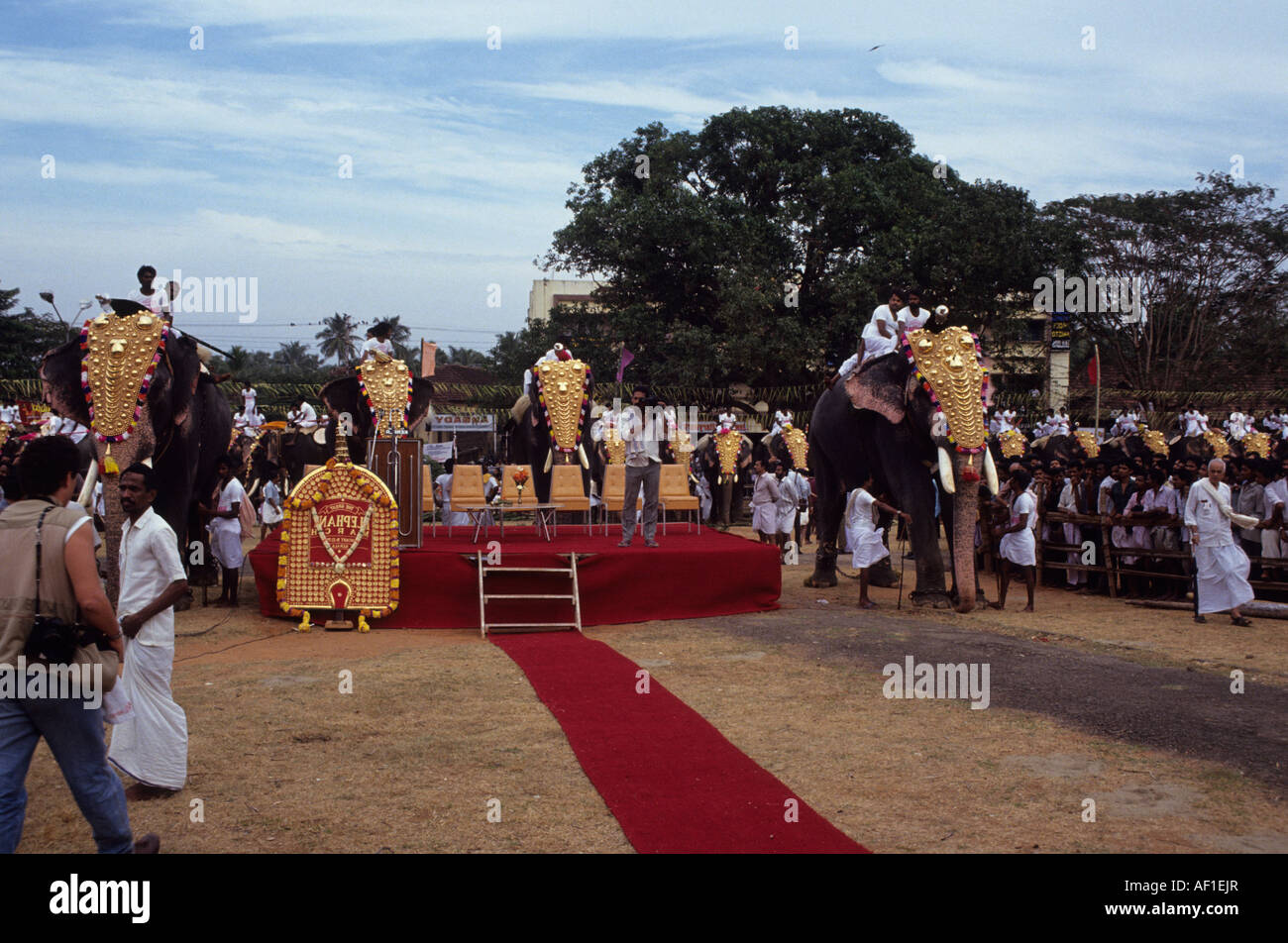 South India Kerala Trichur Elephant Festival Stock Photo - Alamy