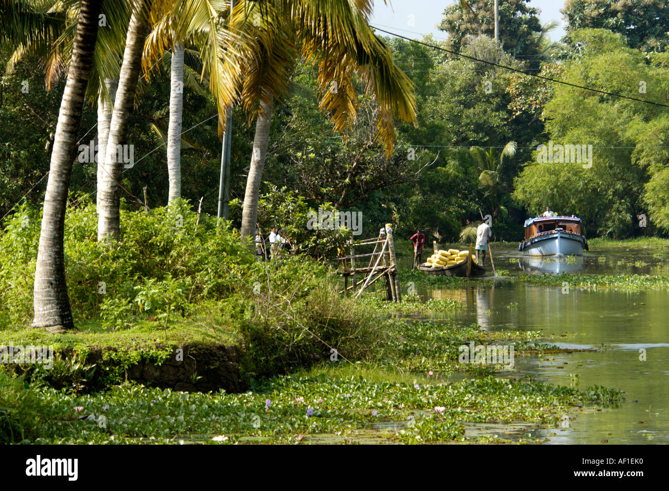 COUNTRY BOAT OF KUTTANAD, ALAPPUZHA Stock Photo - Alamy