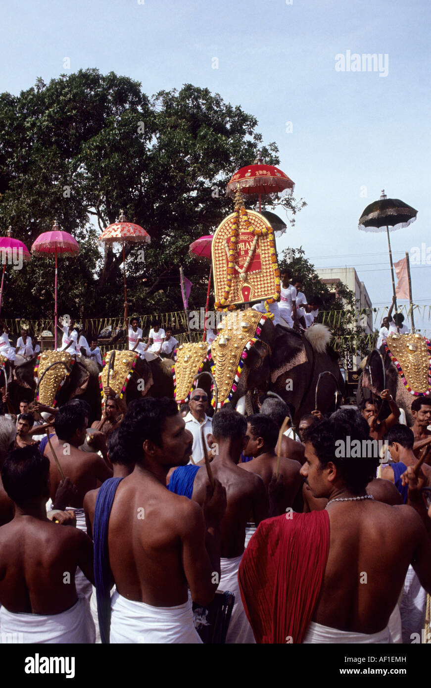 South India Kerala Trichur Elephant Festival Stock Photo - Alamy