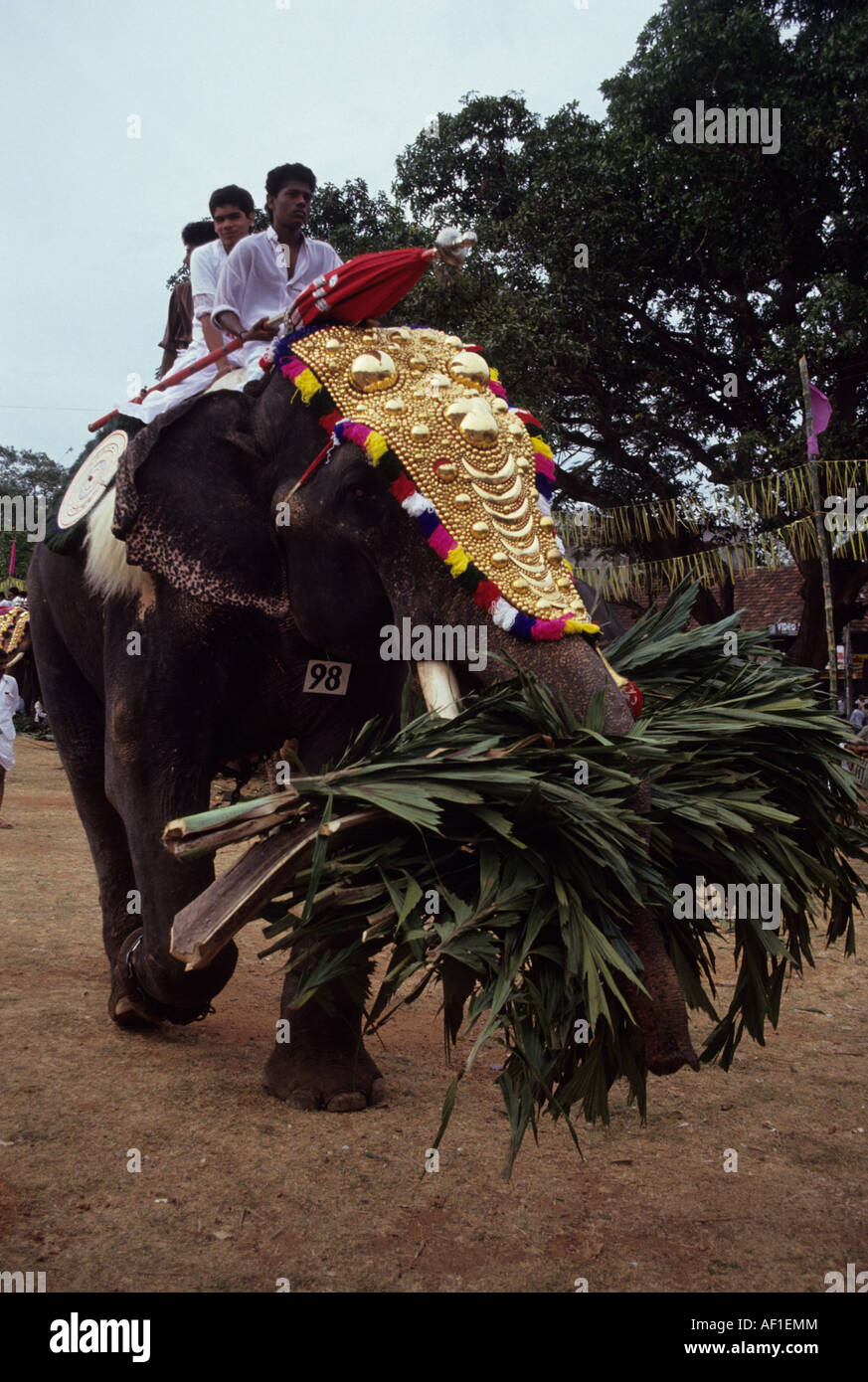 South India Kerala Trichur Elephant Festival Stock Photo - Alamy