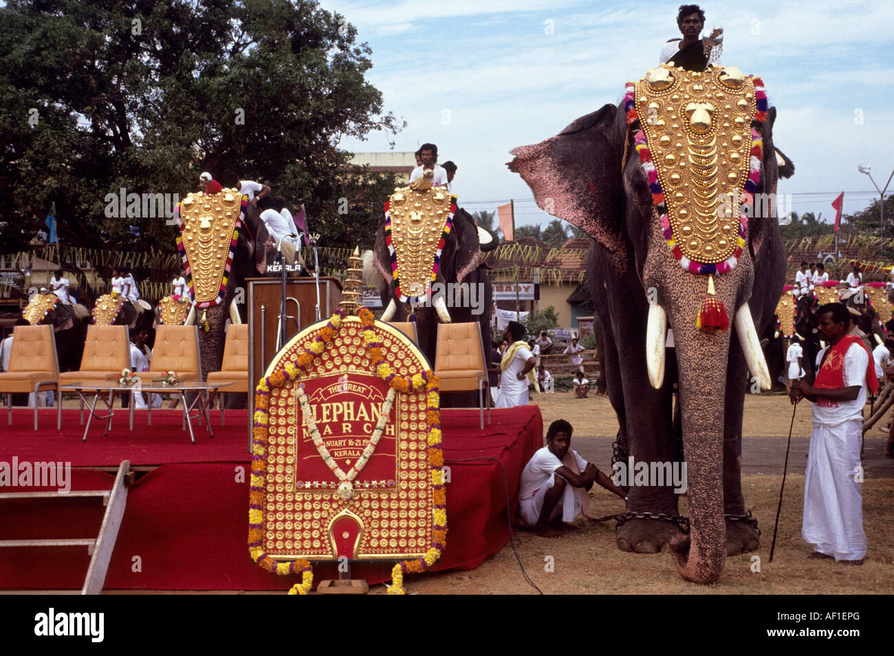 Kerala elephants landscape hi-res stock photography and images - Alamy