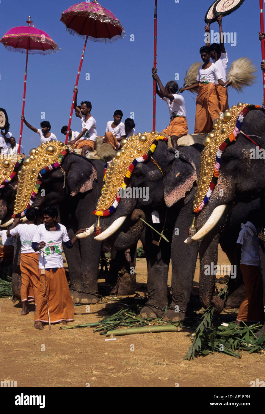 South India Kerala Trichur Elephant Festival Stock Photo - Alamy